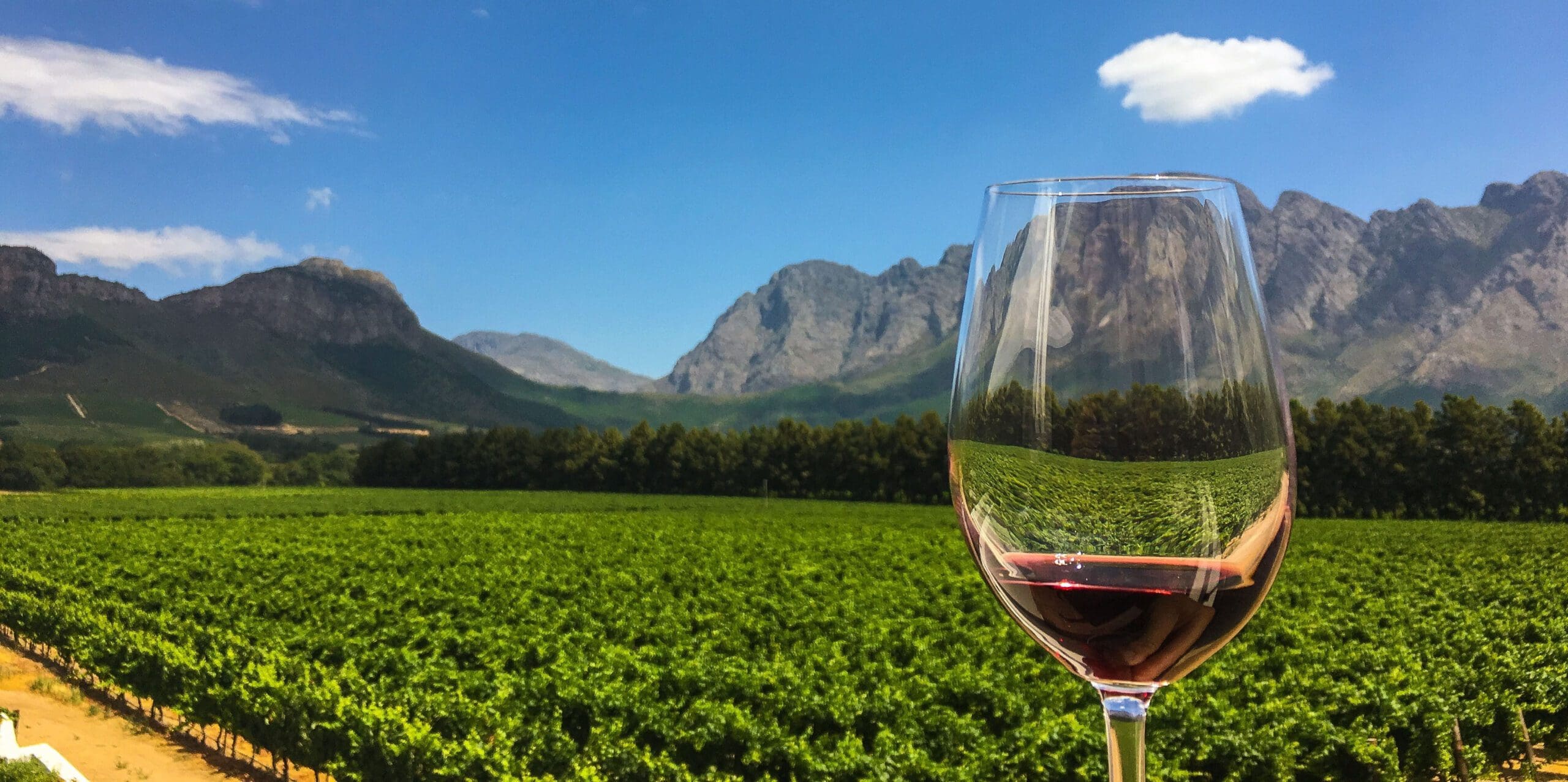 Vin & Safari i Sydafrika - Sydafrikaresor